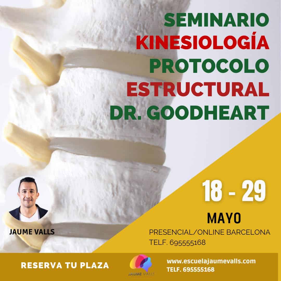 PROTOCOLO ESTRUCTURAL DEL DR. GOODHEART - Escuela Sistémica Jaume Valls